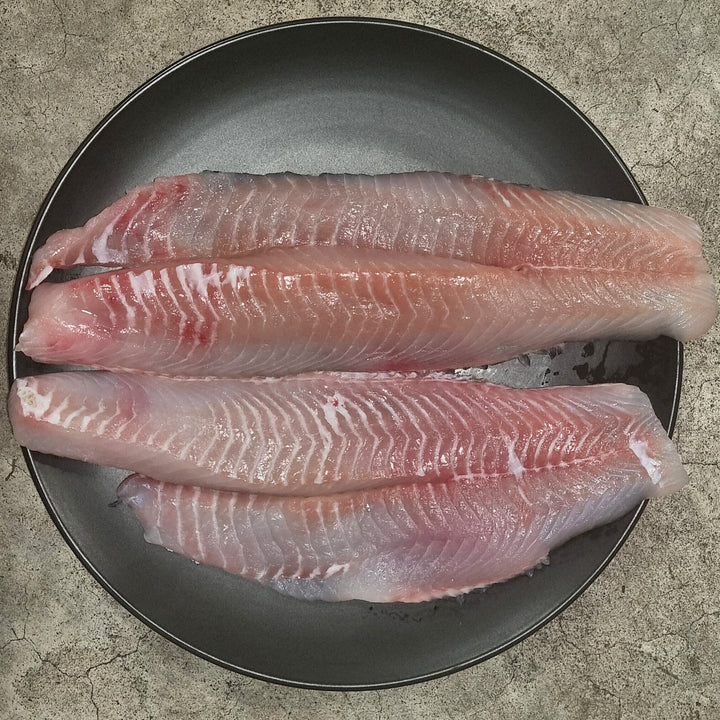 Buy Fresh & Frozen Fish Online - Home Delivery NZ Wide – Oceans North ...