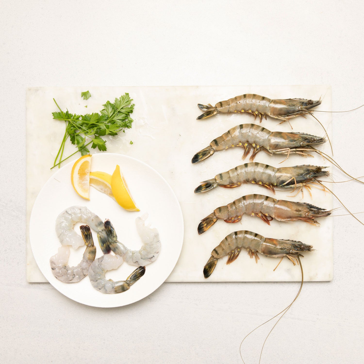 Giant Tiger Prawn Black Tiger Shrimp ***NEW*** Aquatics To Your Door